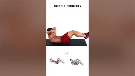 Bicycle Crunches And Variations Youtube