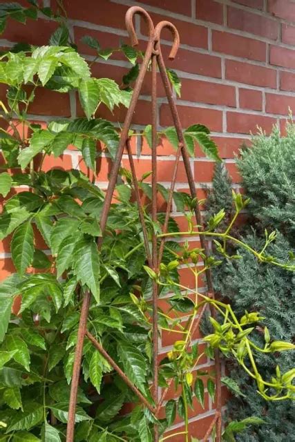RANKGITTER ROST HÖHE 170 cm Metall Rankhilfe Rankgerüst Schmiedeeisen