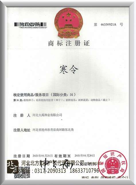 Summer Pride Kb 619 Round Harvest Kb 721 Cheap