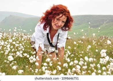 Redhead Wild Nature Stock Photo Shutterstock