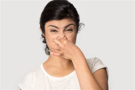 House Smells Like Skunk But No Skunk 6 Possible Reasons