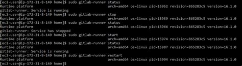 How To Install GitLab Runner On RedHat Linux 2 Steps