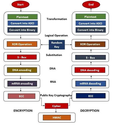 Proposed Technique Flowchart Download Scientific Diagram