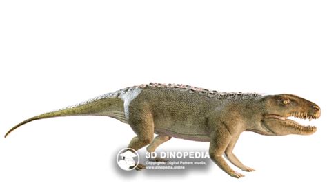 3d Dinopedia Encyclopedia Of Dinosaurs In 3d