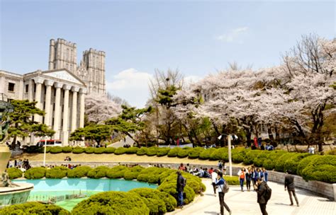 韩国留学拥有最美散步路的韩国大学TOP4 建筑 地方 人工湖