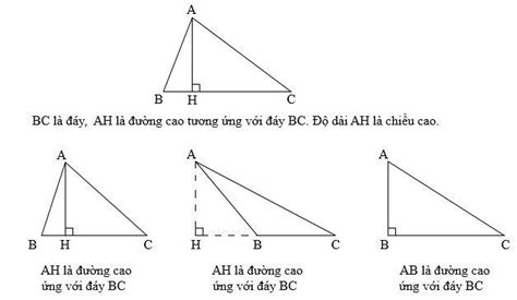 Lý Thuyết Hình Tam Giác Diện Tích Hình Tam Giác Lý Thuyết Toán Lớp 5