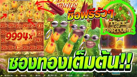🥒เกมใหม่ ต้นไม้แห่งโชคลาภ Pg🥒 ซองทองเต็มต้น ซื้อฟรีรัวๆ Fortune Tree Pg