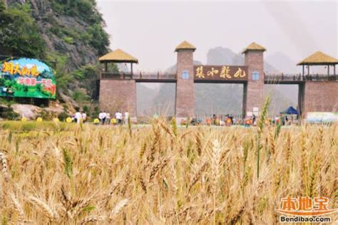 英德九龙小镇老虎谷溶洞全程漂流英西峰林一天纯玩游 一价全包108元 人 出发时间9月121314日 观光