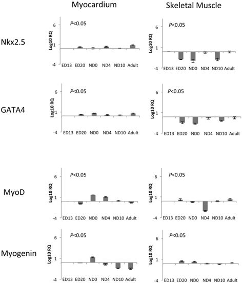 Data Are Expressed As Average ± Sd Cardiac Transcription Factors