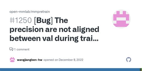 Bug The Precision Are Not Aligned Between Val During Train And Test