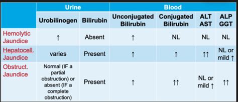 Heme Hepatic And Pancreatic Labs Class 2 Flashcards Quizlet