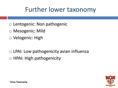 Virus Taxonomy And Classification PDF Biological Sciences Science