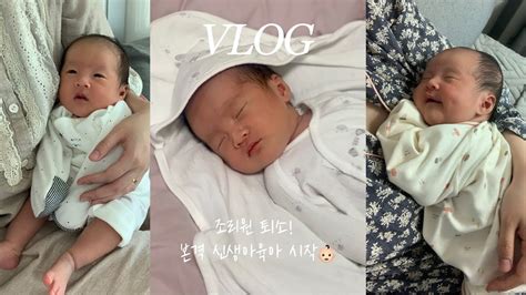 육아VLOG 산후도우미 없이 신생아 육아 생후 주 아기 신생아 목욕 모유수유 배냇짓 하는 아기 YouTube