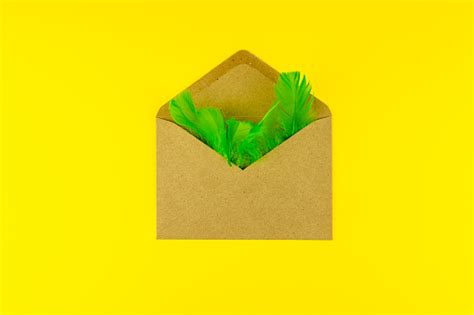 밝은 노란색 배경에 녹색 깃털종이 공예 봉투 축제 창조적 개념 0명에 대한 스톡 사진 및 기타 이미지 0명 개념 공란