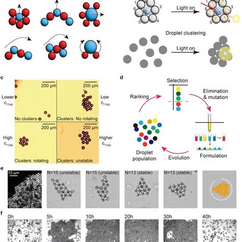Active Colloidal Systems As Programmable Active Matter A Dynamic Download Scientific Diagram