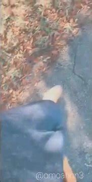 Girl Leaks While On A Walk ThisVid Com