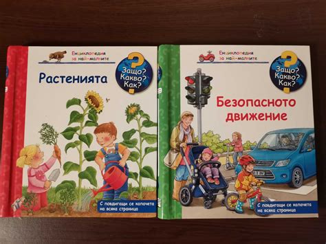 Защо Какво Как Растенията и Безопасното движение гр София Зона Б 19