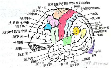 人工智能会是第四次工业革命吗 知乎