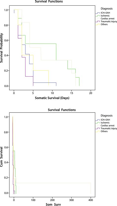 Somatic Survival After Brain Death Download Scientific Diagram