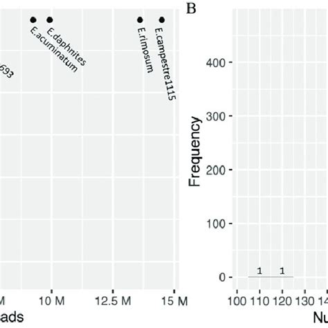 Exon Capture Sequencing And Gene Assembly Statistics For 519 Genes A Download Scientific