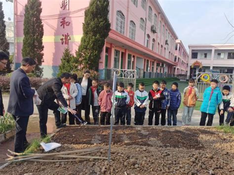 汉中市西乡县柳树镇中心学校开展早春育苗劳动实践文化艺术网 文化艺术报 互联网新闻信息服务许可