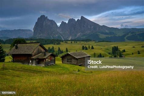 나무와 이탈리아 알프스 Dolomites에 Sassolungo 산 주택 전경 Compatsch에 대한 스톡 사진 및 기타 이미지