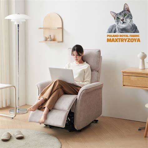 로빈 맥스트라이조야원단 1인용 전동 리클라이너 의자 패브릭 소파 신세계적 쇼핑포털 Ssg Com