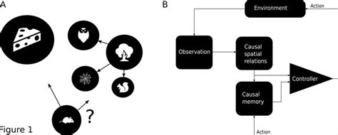 Causal Learning In Neural Networks And The Brain Compsci Training In Computational Science