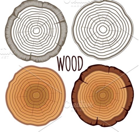 Vector Tree Rings Custom Designed Illustrations ~ Creative Market