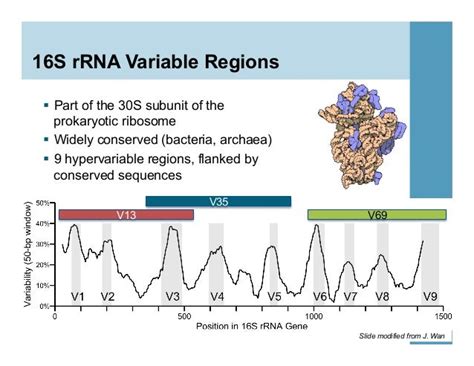 Introduction To 16s Microbiome Analysis