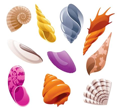 Premium Vector Set Of Sea Shells Colorful Tropical Shell Underwater