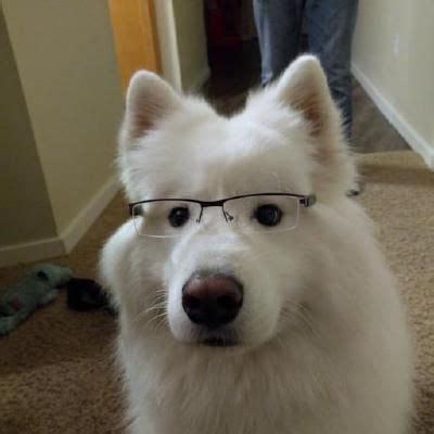 Build Opencv On Nvidia Jetson Nano Contribute To Mdegans Nano Build Opencv Development By
