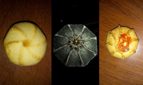 Thargoid Scout Biscuits Relitedangerous