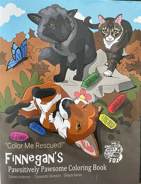 Coloring Book 44 Pages Saveafox