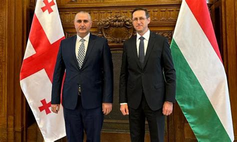 ფინანსთა მინისტრი ლაშა ხუციშვილი უნგრეთის ვიცე პრემიერს შეხვდა