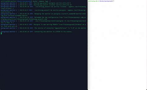 Postgresql Ha On Docker With Pgautofailover Selfhosted Club