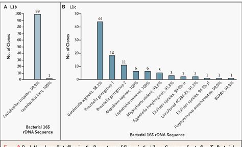 Bacterial Vaginosis Semantic Scholar