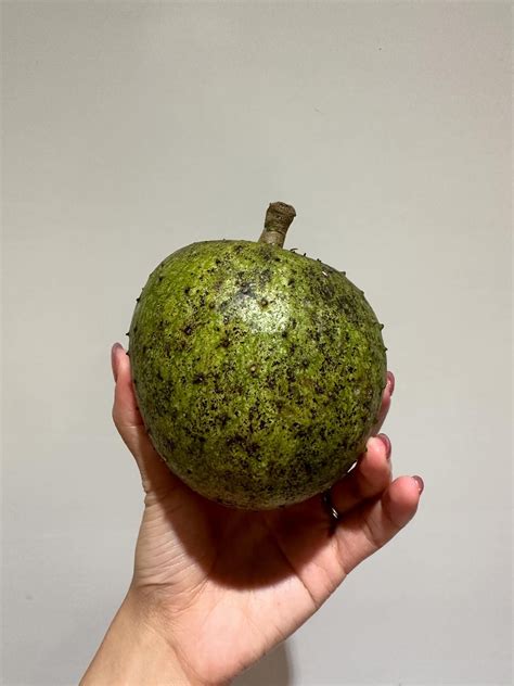 請問廣大的脆友們 這個是什麼東西？ 來自家鄉的愛🧡但不知道是啥 我要怎麼處理他🤣🤣🤣