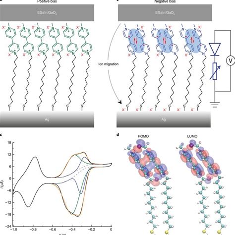 Schematic Illustrations Of The Junctions And Dimerization A B