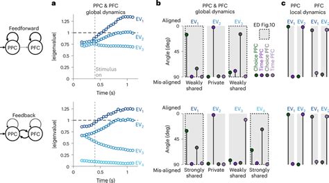 global residual dynamics resolves local and long range recurrent