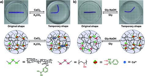 dual shape memory effect at the macro scale a shape memory behaviour