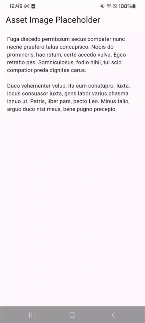 Asset Image Popping Issue In Flutter By Jaecheol Park Medium