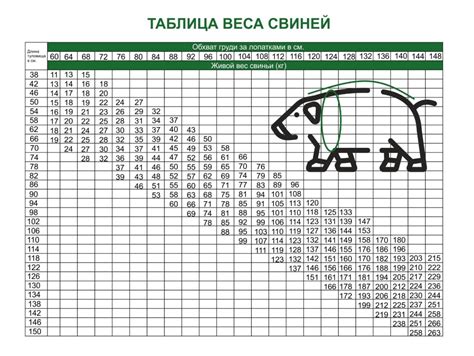 свинья весит 6 кг и еще пол поросенка сколько весит поросенок