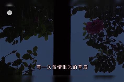 【音乐】张茜《爱要怎么说出口》女声版：人这一辈子，最害怕突然某一天听懂了一首歌，因为那一刻往往已经物是人非、曲终人散，越长大越发现让人掉下眼泪