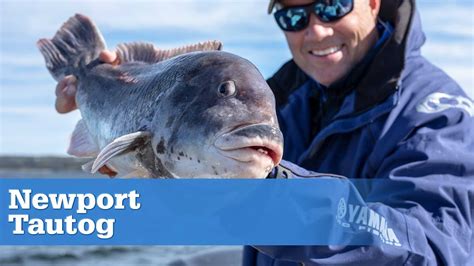 Fishing For Big Tog Off Newport Rhode Island S16 E7 Youtube