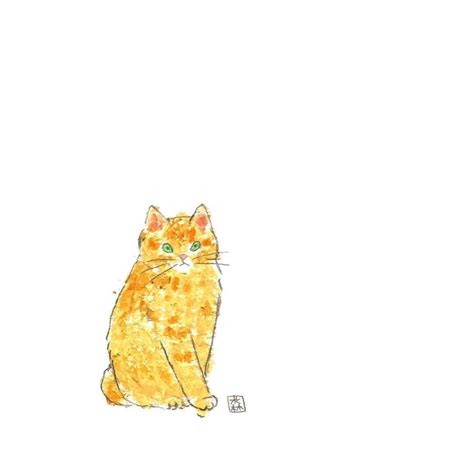 Mori 森 On Instagram “치즈고양이 🧀 Cat Catillustration Illustration