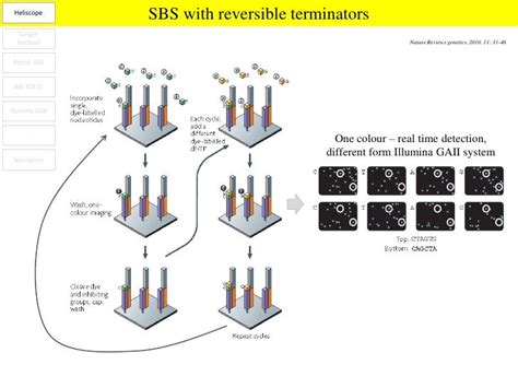 High Throughput Sequencing