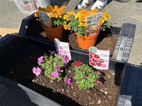 花を植えましょう 〜311を忘れない〜 株式会社バンガードシステムズ