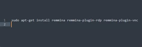 how to use remmina