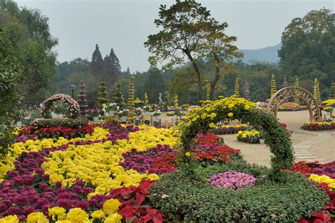 Сады в китае 66 фото красивые картинки и Hd фото